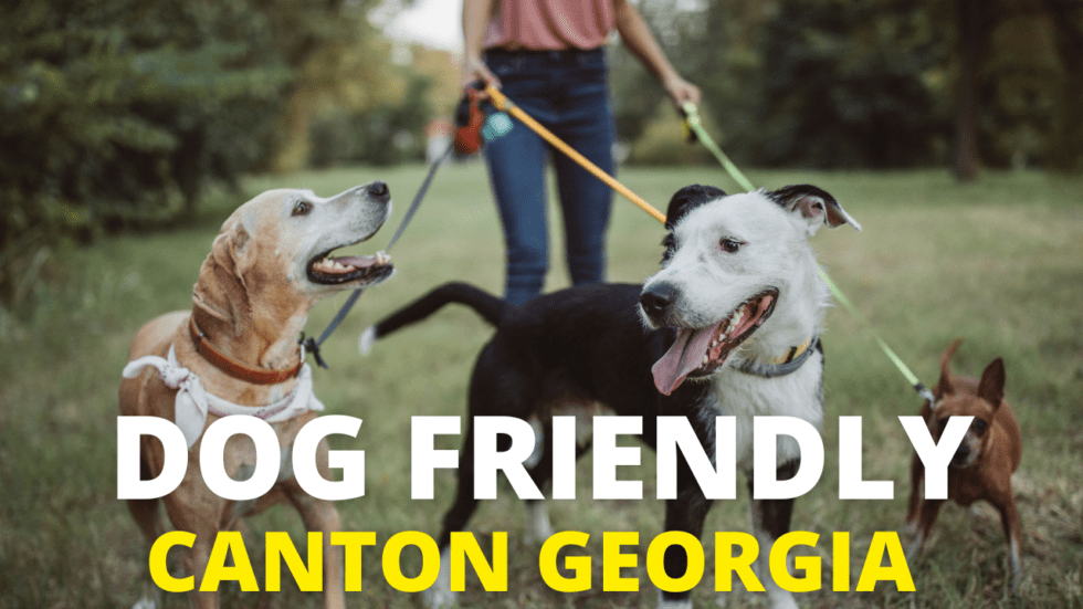 Dog-Friendly Spaces in Canton GA